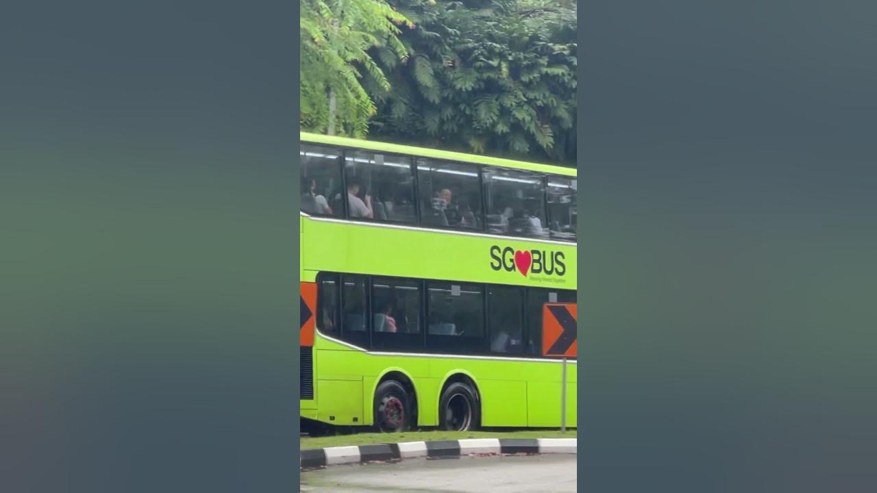 Bus 168 bypassing Seletar camp G #singapore #sgbuses - YouTube