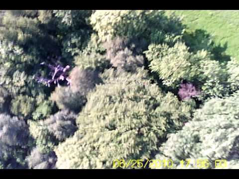 bgrc guiwoods lisiere HD