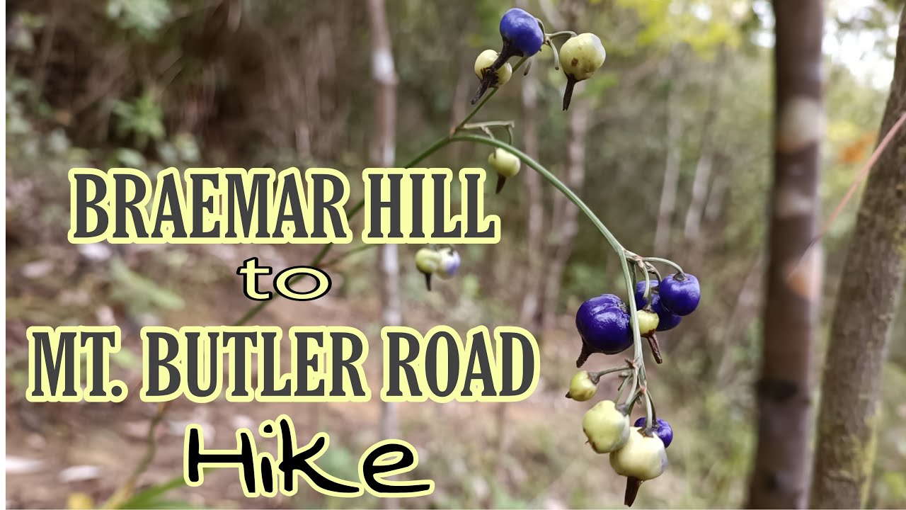 BRAEMAR HILL TO MT. BUTLER HIKE via SIR CECIL'S RIDE | SIR CECIL'S RIDE ...