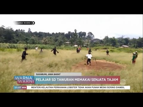 Pelajar SD Tawuran Memakai Senjata Tajam - WARNA WARNI