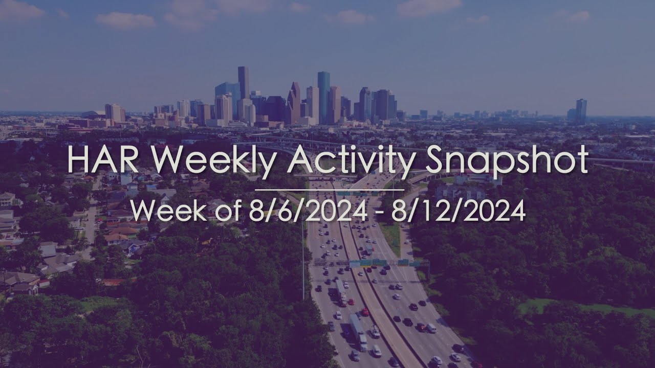 Weekly Activity Snapshot - 8/6/2024 to 8/12/2024 - YouTube