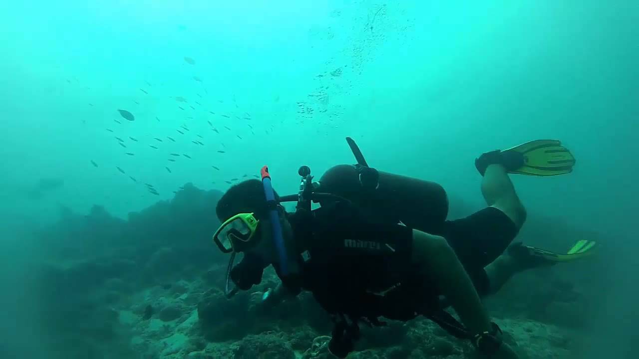 Maldives - Scuba Diving HD - YouTube