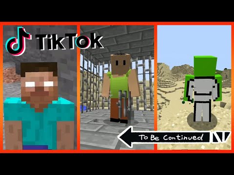 Herobrine or Diamond | TIKTOK MINECRAFT COMPILATION