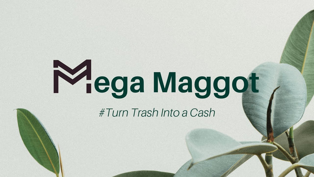 Mega Maggot - YouTube
