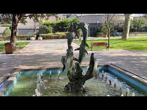 Taksim meydanı böyle Park Gezintisi 