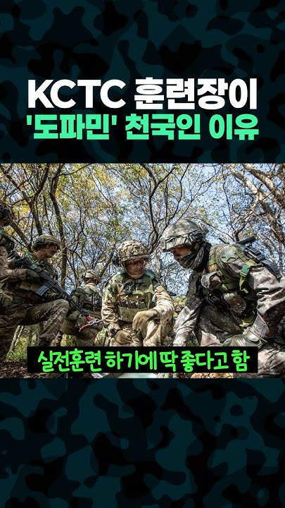 전세계 군인들에게 '도파민' 천국이라는 KCTC 훈련장 - YouTube