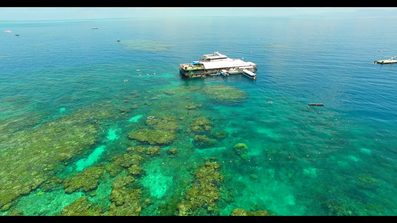 Reef Magic Cruises - Marine World, Great Barrier Reef, Cairns ...