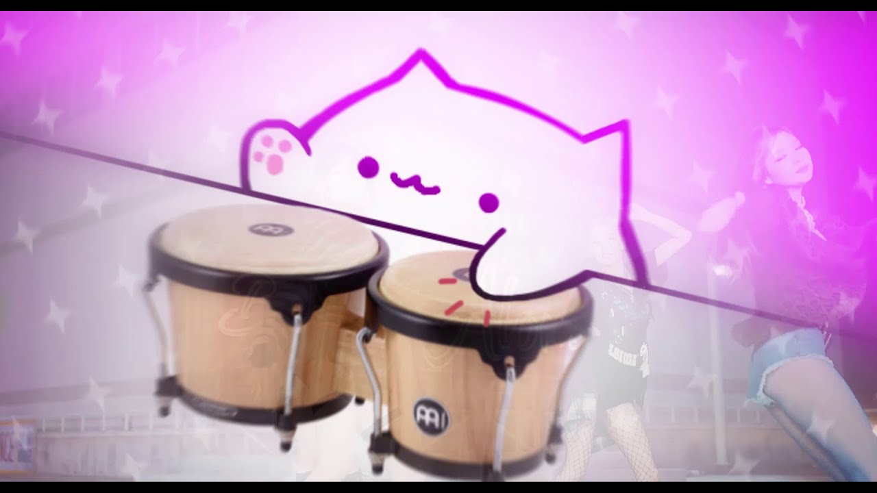 BLACKPINK & BONGO CAT - 'Lovesick Girls' (MEME) - YouTube