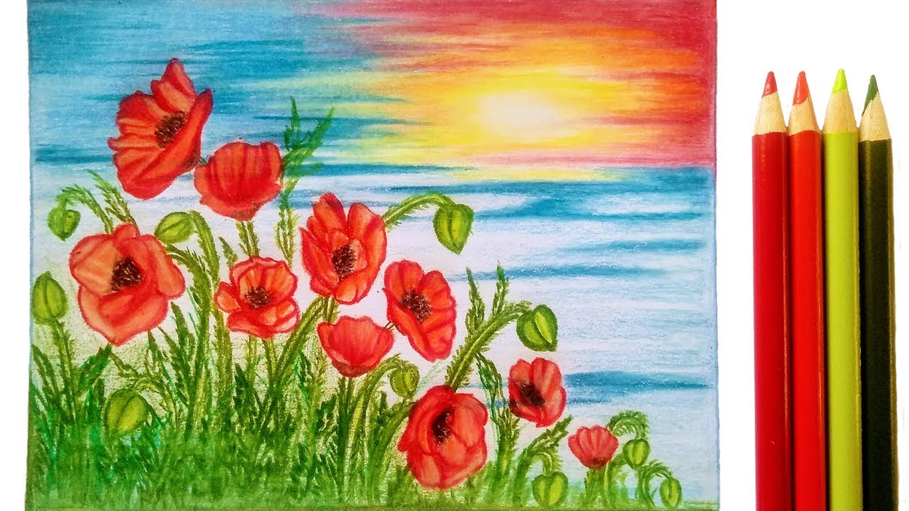 Easy Poppy Field Drawing //step by step landscape drawing of Poppy ...