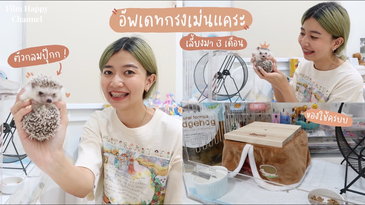 ฟิล์มอัพเดทกรงเม่นแคระ เลี้ยงมา 3 เดือนตัวกลมดิ๊กเลย 🦔 | Film Happy ...