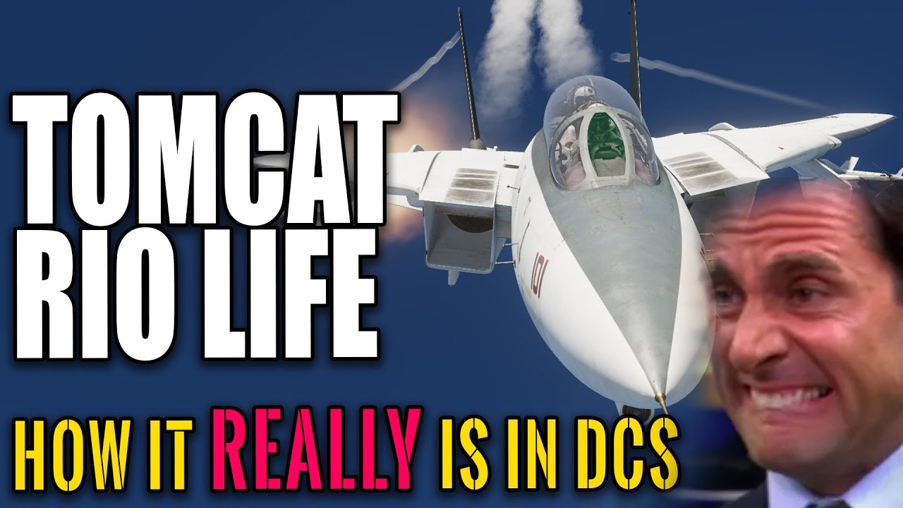 flying f-14 tomcat (DCS is not a horror game) 😈 meme - YouTube