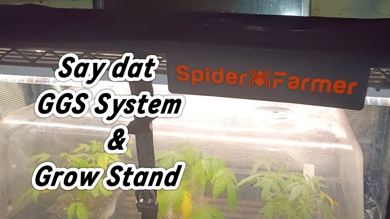 beginner grow Journal spider farmer growth stand review @SpiderFarmer ...