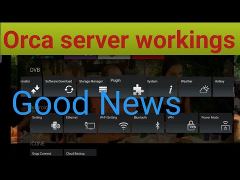 orca server new updates - YouTube