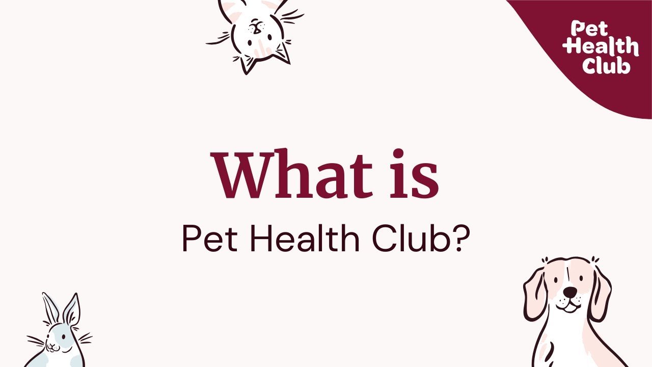 What is Pet Health Club? - YouTube