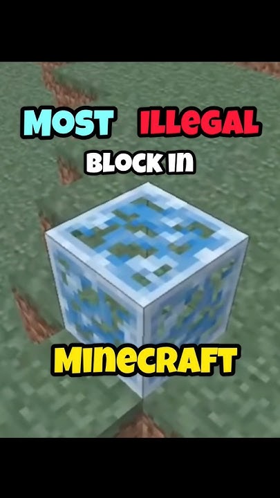 The most ILLEGAL BLOCK in Minecraft! - YouTube