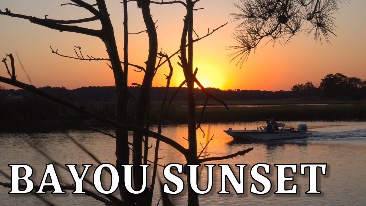 Quiet Sunset on the Bayou (4K) - Birdsong, Cicadas, & Relaxing Breeze ...