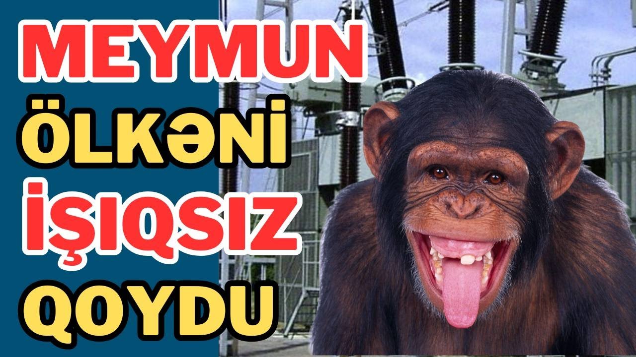 ŞOK HADİSƏ! Meymun bu ölkəni işıqsız qoydu! - Gündəm Xəbər - YouTube