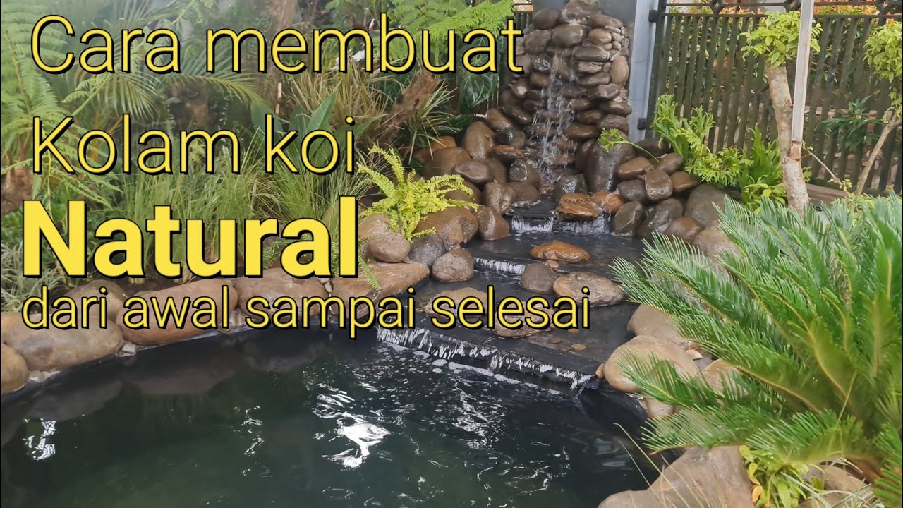 CARA PEMBUATAN KOLAM IKAN NATURAL DARI AWAL SAMPAI SELESAI - YouTube