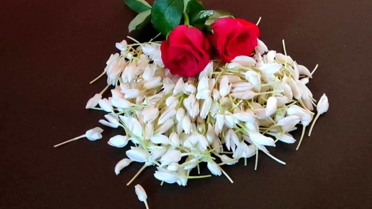 10 நிமிடத்தில் இந்த மாதிரி ரெடி பண்ணுங்க /Jathi Malli poo korpathu ...