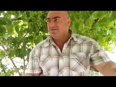 mam vandam gorani u qsa xoshakane 🔥| خۆشترین ڤیدیۆی مام ڤاندام بە گۆرانیەوە 😜🔥