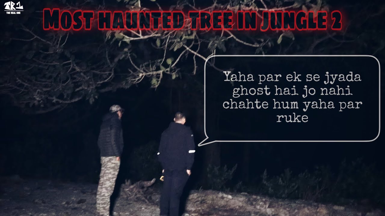 EP#2. Ab tak ka best paranormal communication ft.@VivekAwasthiVlogs ...