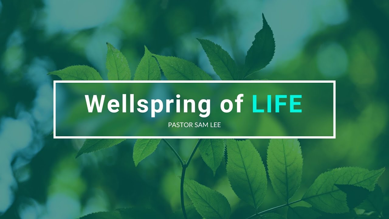 Sermon: Wellspring of Life - YouTube
