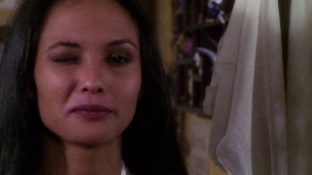 Porno Nights Of The World (1977) See The Analog Video Shop's Archive ...