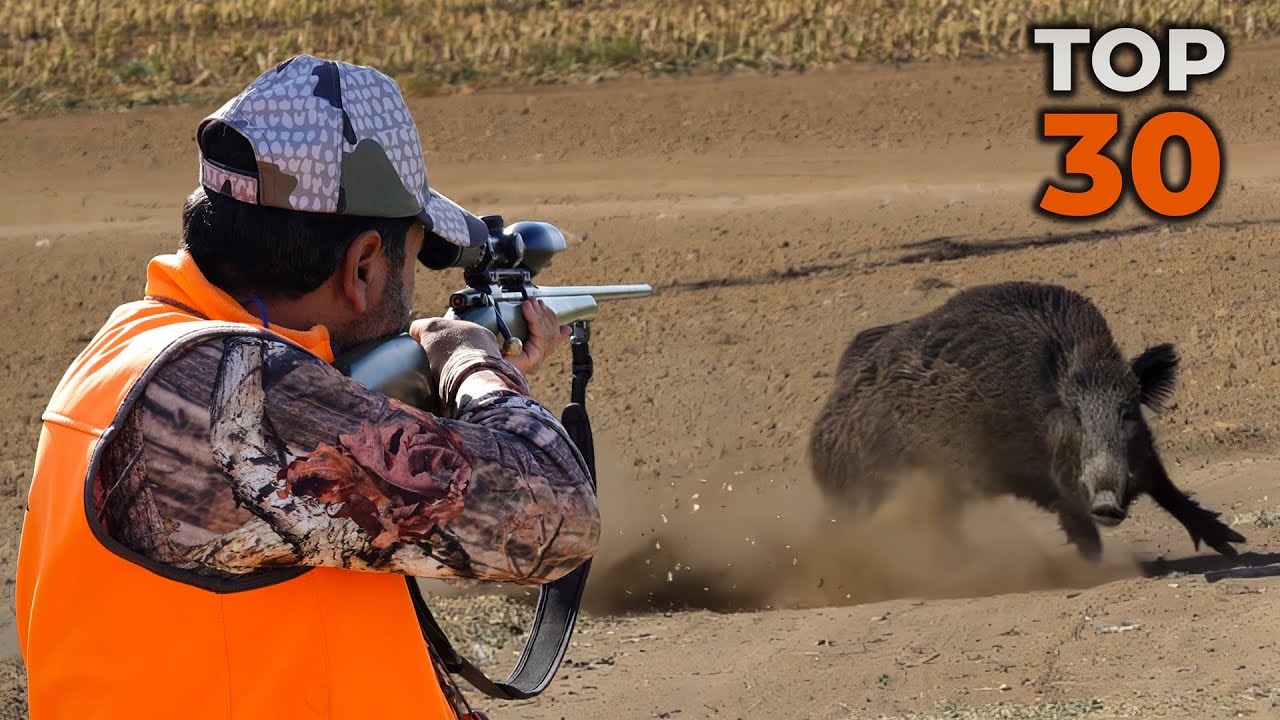 DANGEROUS GIANT BOARS: TOP 30 WILD BOAR SHOTS, MOST EXCITED HUNTING ...