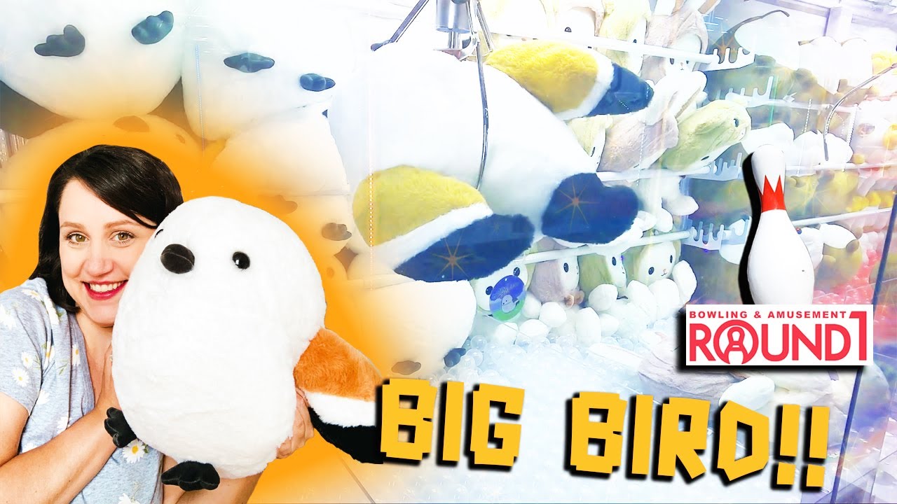 AWESOME New Prizes at ROUND 1 Arcade! Sometimes you WIN and sometimes ...