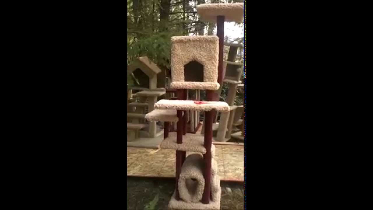 HUGE CAT CONDO WITH LARGE PLATFORMS... - YouTube