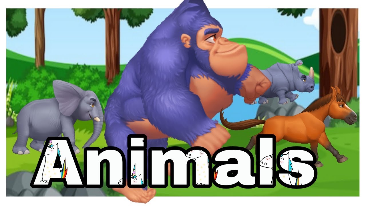 Animal name with spelling || english alphabets - YouTube