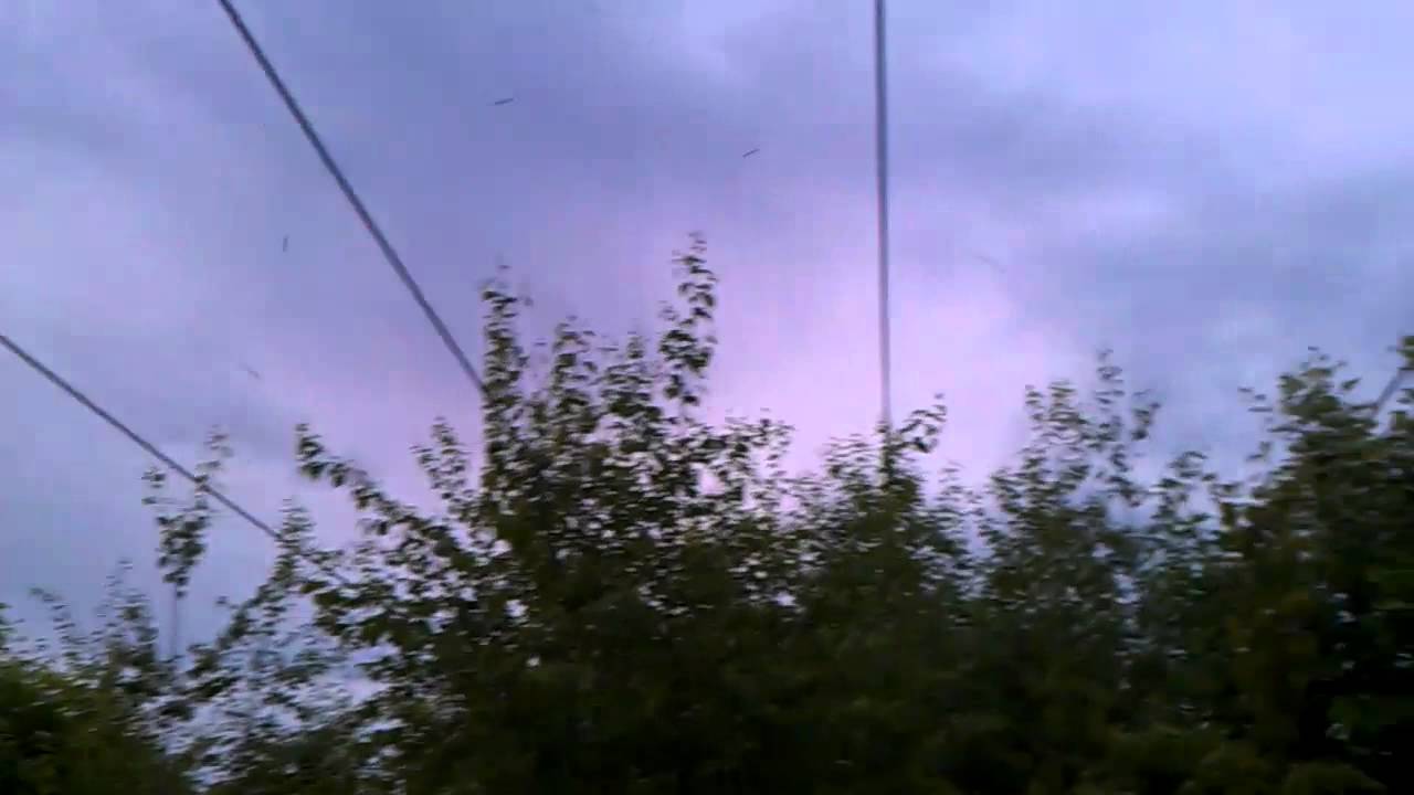 Lots of mosquitoes - YouTube