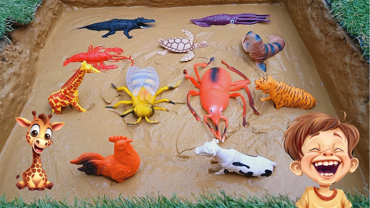 "Wild, Farm, and Sea Animals in the Mud: A Unique Animal Adventure ...