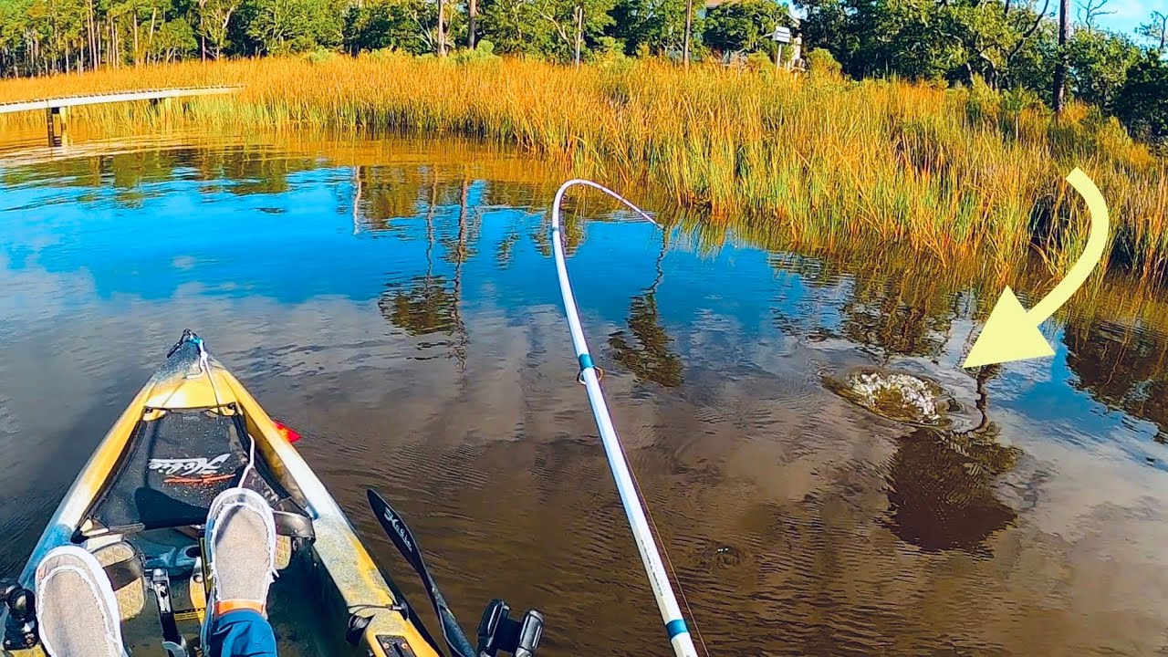 NO CLICKbait bayou fishing. #redfish #flounder - YouTube