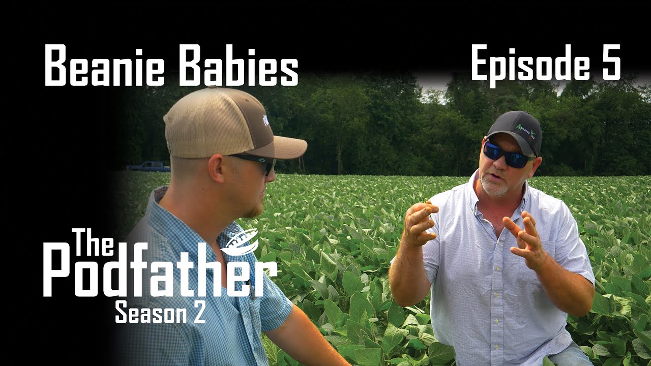 The Podfather | 205 | Beanie Babies - YouTube