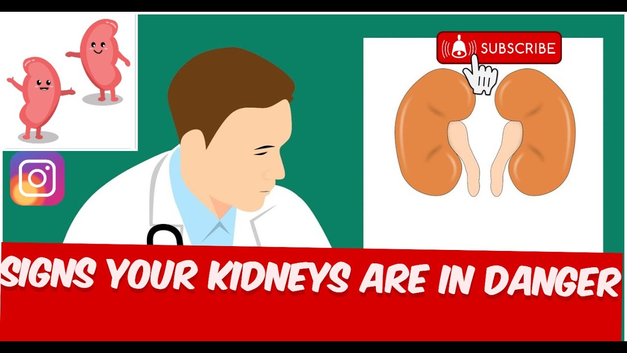 Signs Your Kidneys Are in Danger #KidneyHealth #EarlyDetection # ...