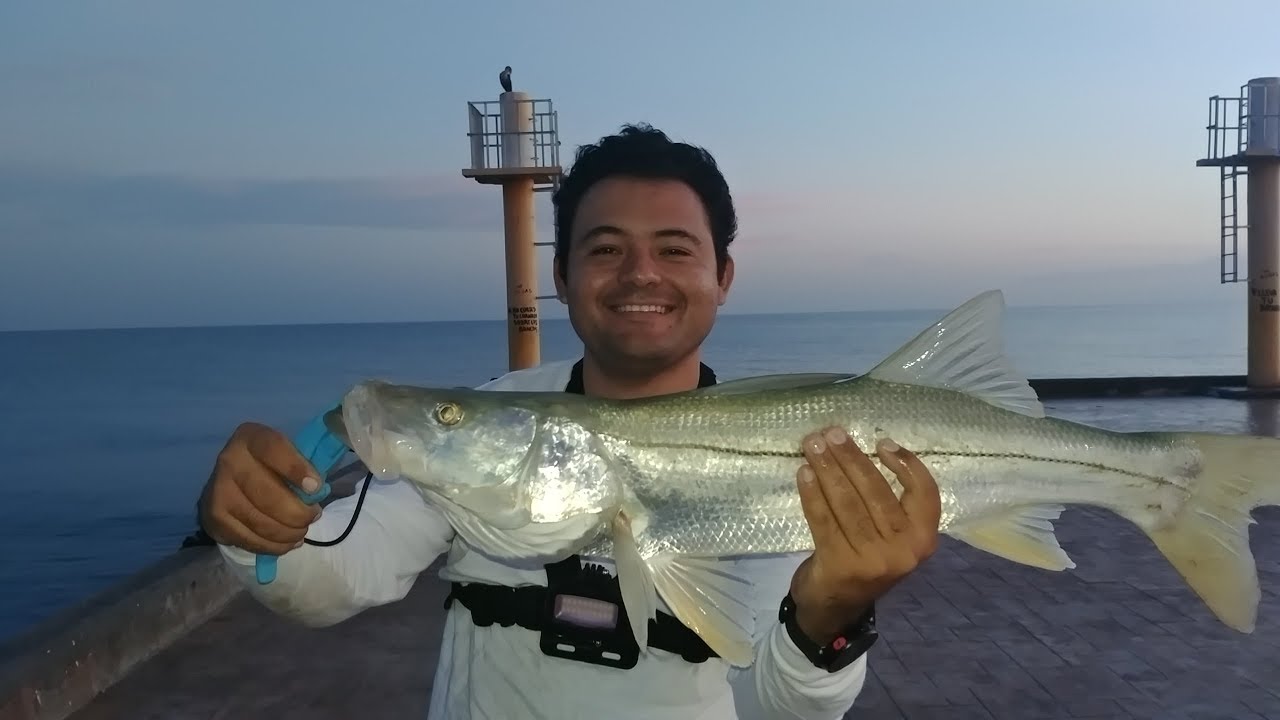 Pesca de Robalo mi record Julio 2018 - YouTube