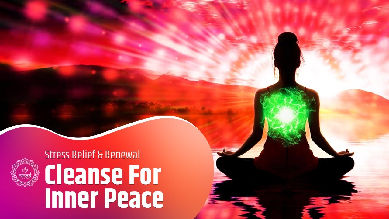 Cleanse For Inner Peace: Eliminate Emotional Obstacles, Conquer Stress ...