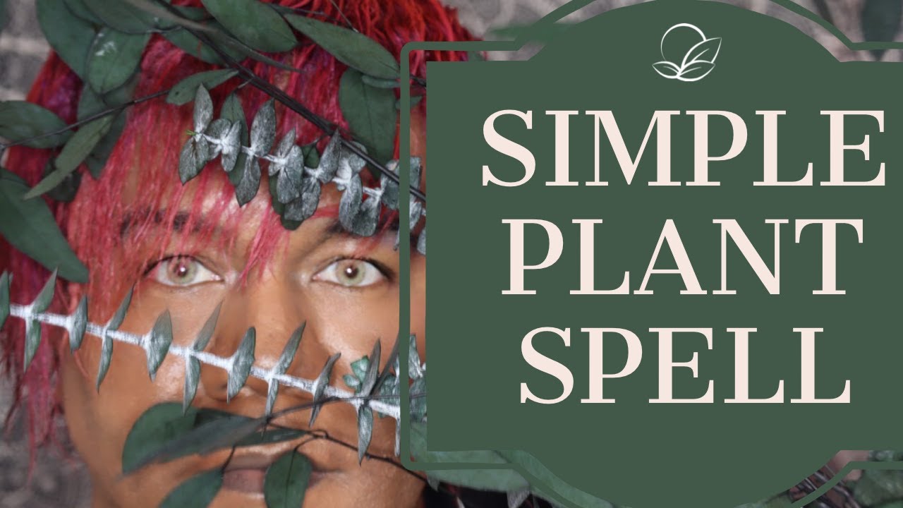 SIMPLE PLANT SPELL - YouTube