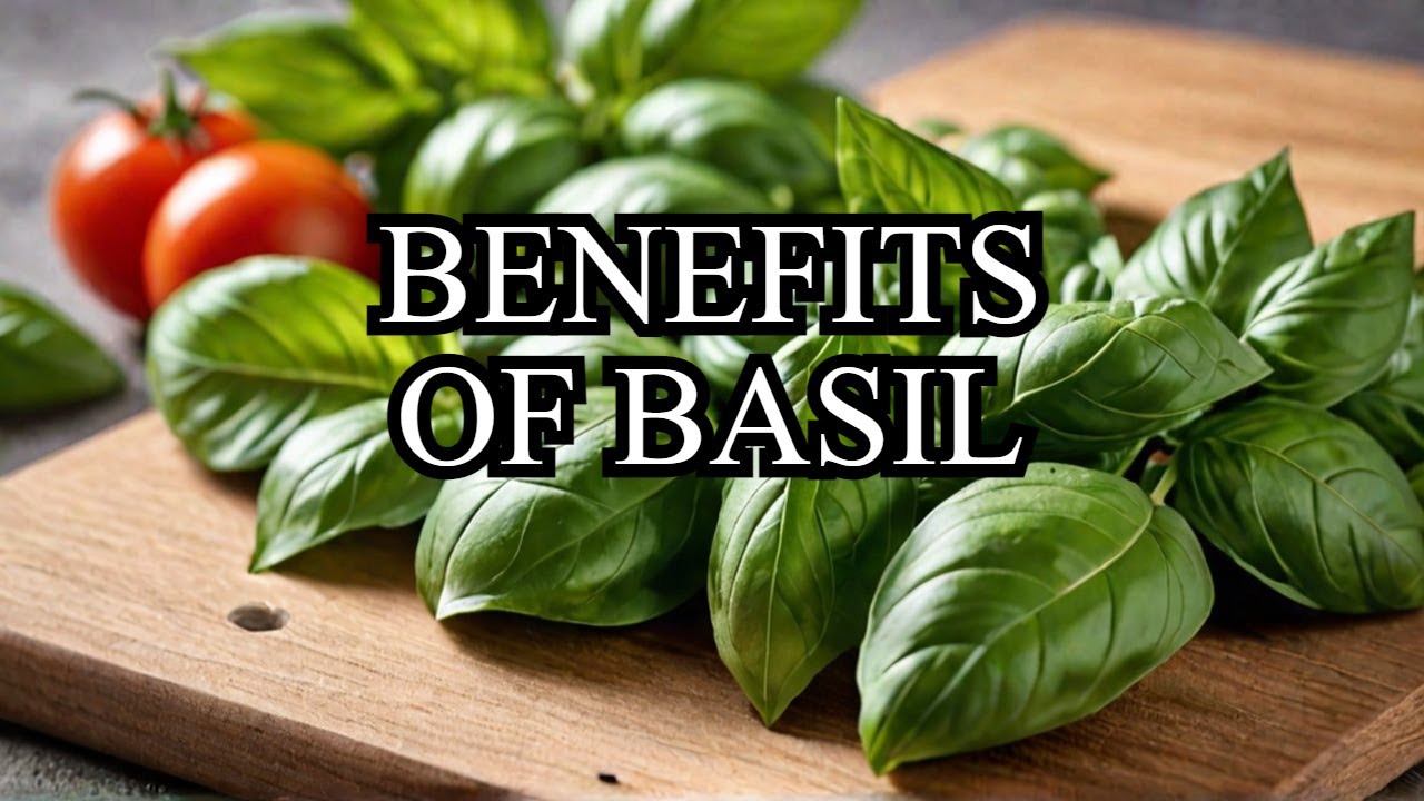 Herbs for Health 6 Must Know Benefits of Basil! - YouTube