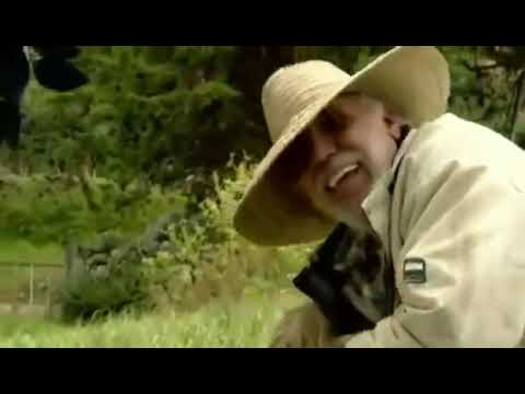 EL MANZANO AZUL PELICULA - YouTube