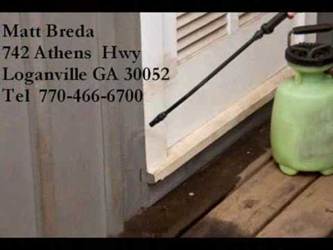 Breda Pest Control Service - YouTube