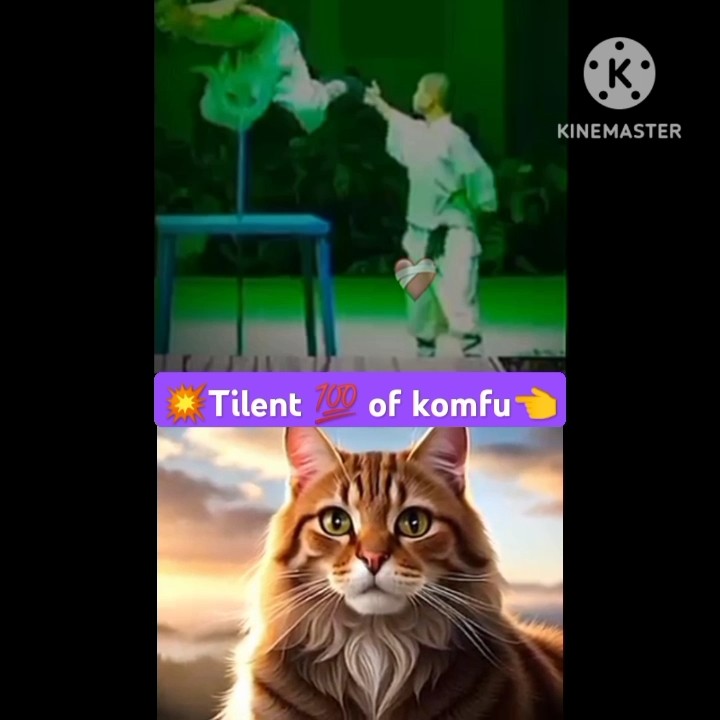 🤣Chinese komfu💯🔥#memes #shorts 🥰 - YouTube