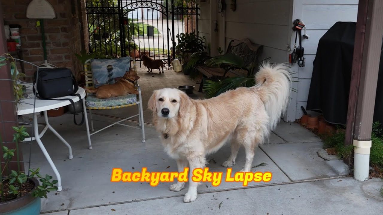 Backyard Sky Lapse 4k version. (And Mac, too!) - YouTube