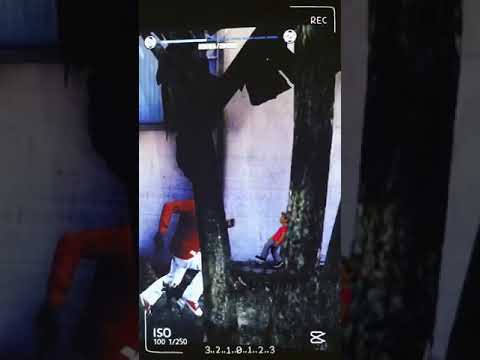 Ybn Ls MP4 (PS4/PS5)