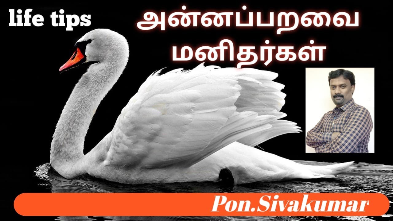அன்னப்பறவை மனிதர்கள் | Anna Paravai Manithargal | OVM TV Pon.Sivakumar ...