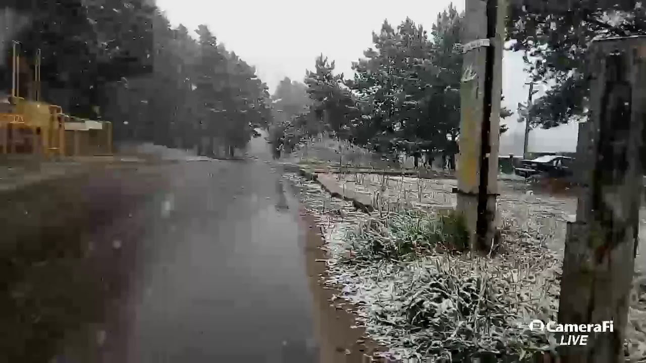 Mr. Dmitriy's broadcast - YouTube