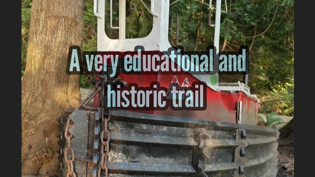 Historic Logging Trail Adventure | Powell River BC - YouTube