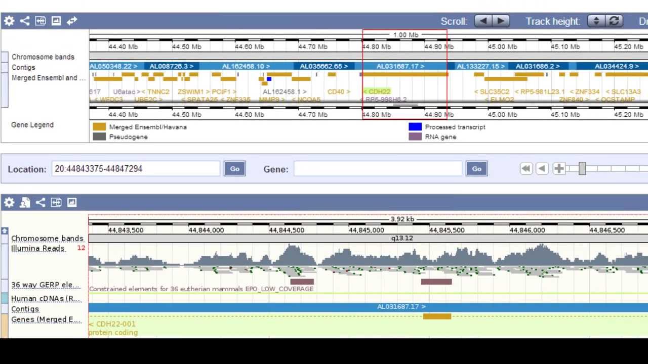 View Your Data in Ensembl - YouTube