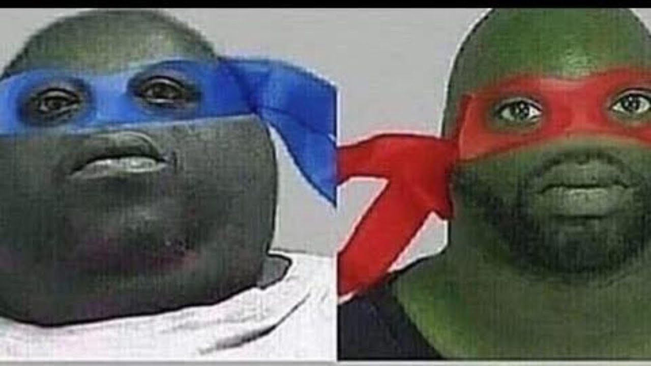 I like Turtles - YouTube